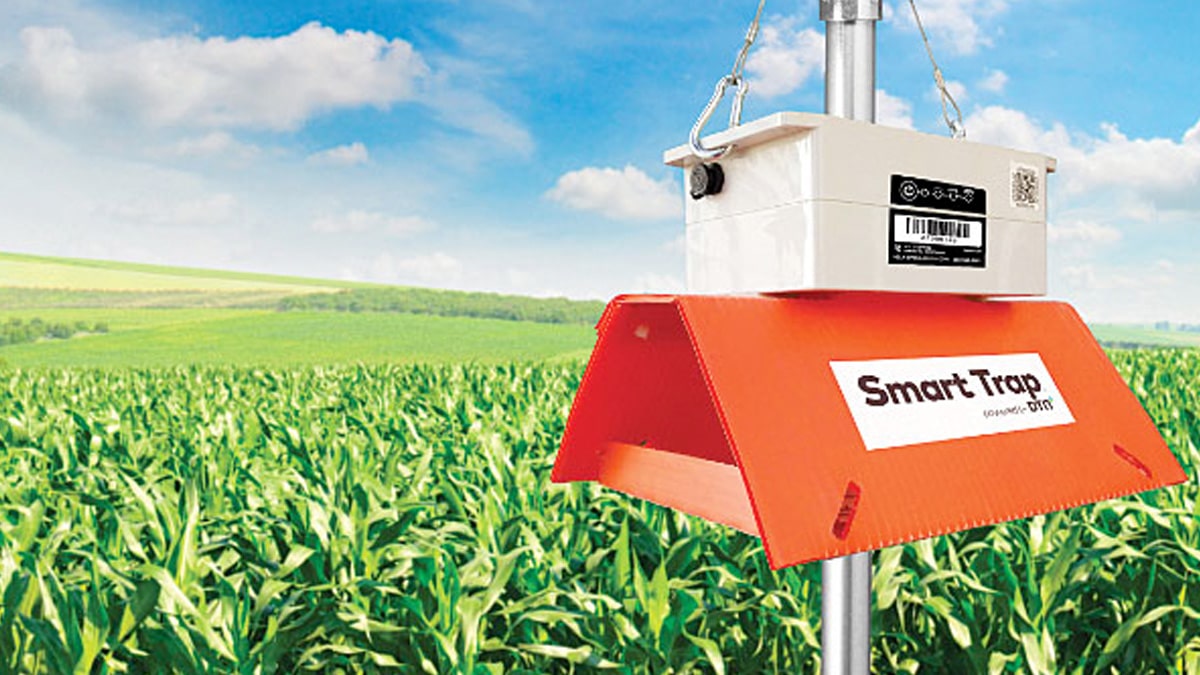 DTN Smart Trap for Agribusiness- DTN