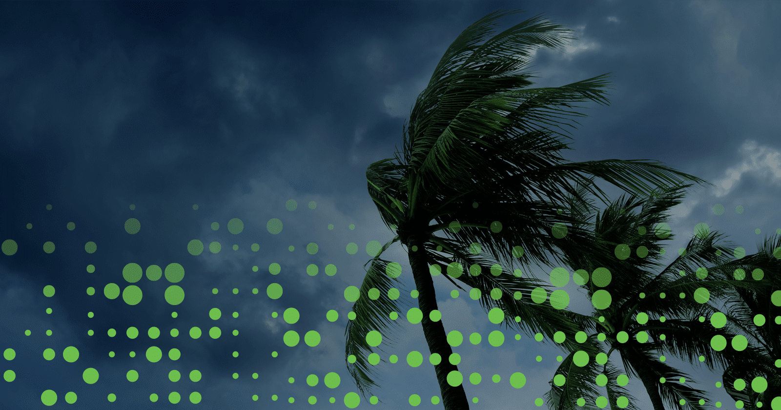 Accurate and Timely. DTN Weather & Environmental Solutions