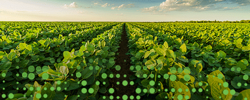 Getting your Customers Started with Digital Farming - DTN