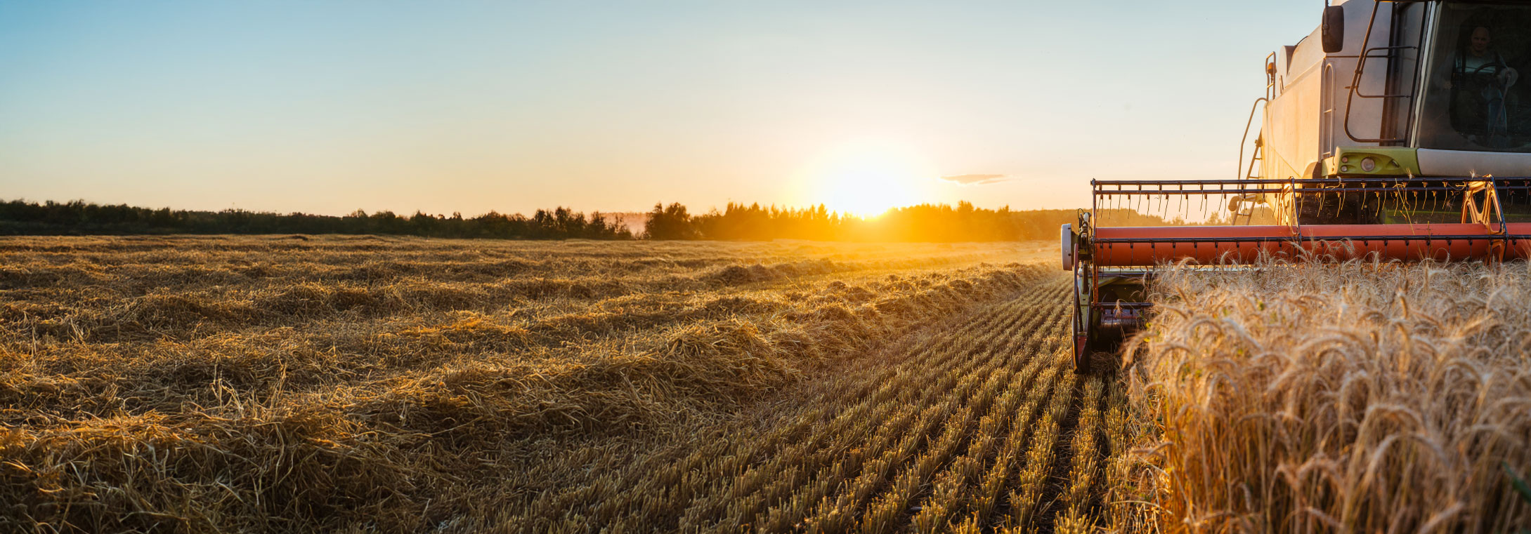 DTN Grain Discovery for Smarter Grain Marketing
